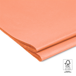 Uni Tissue Paper Salmon - Orange | House of Products • House of ...